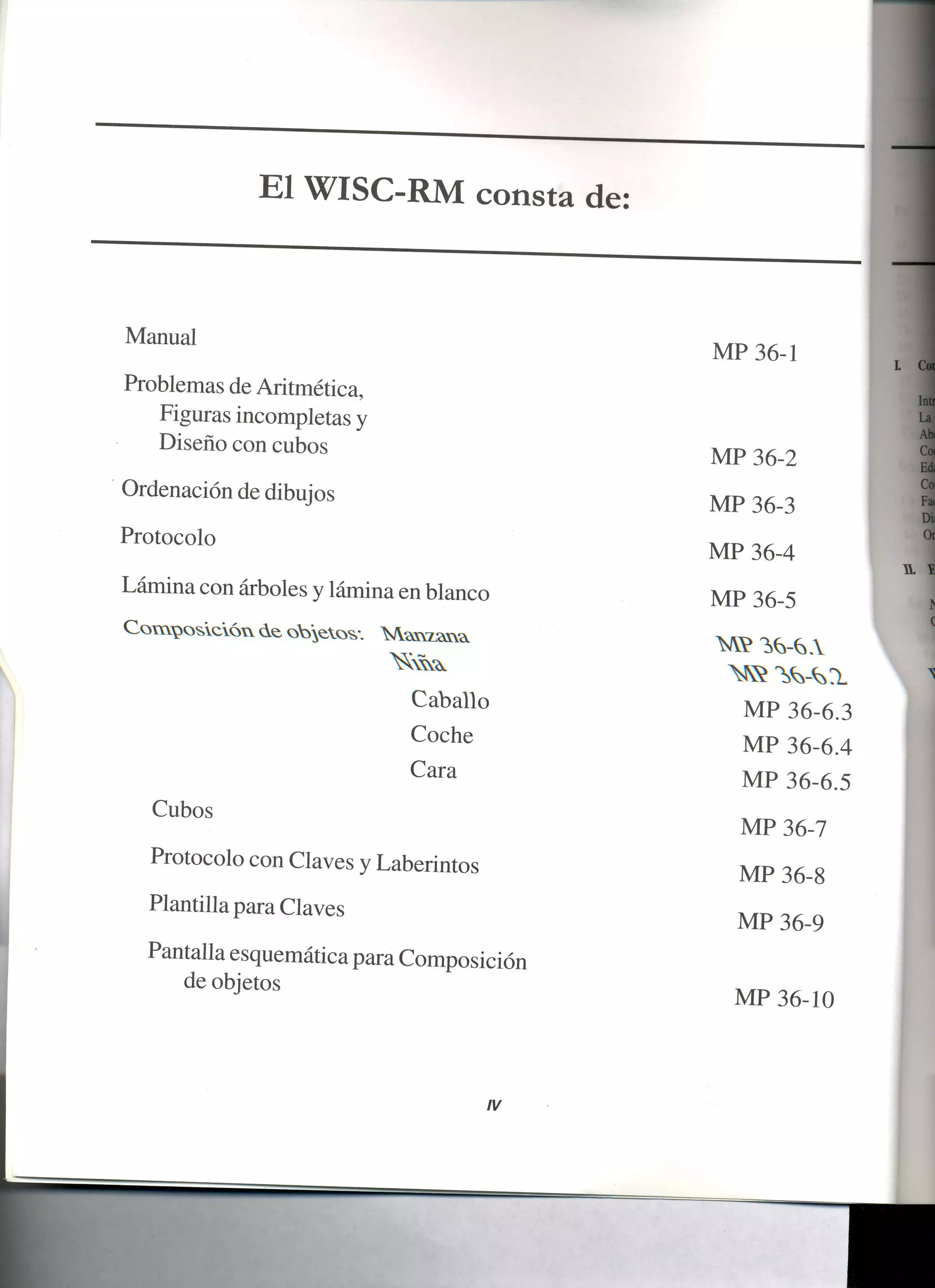 Wisc RM Manual | PDF