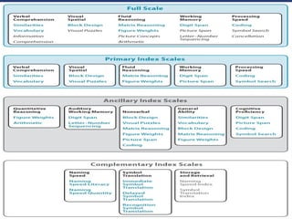 WISC-V. for understanding and mutual learning | PPTX