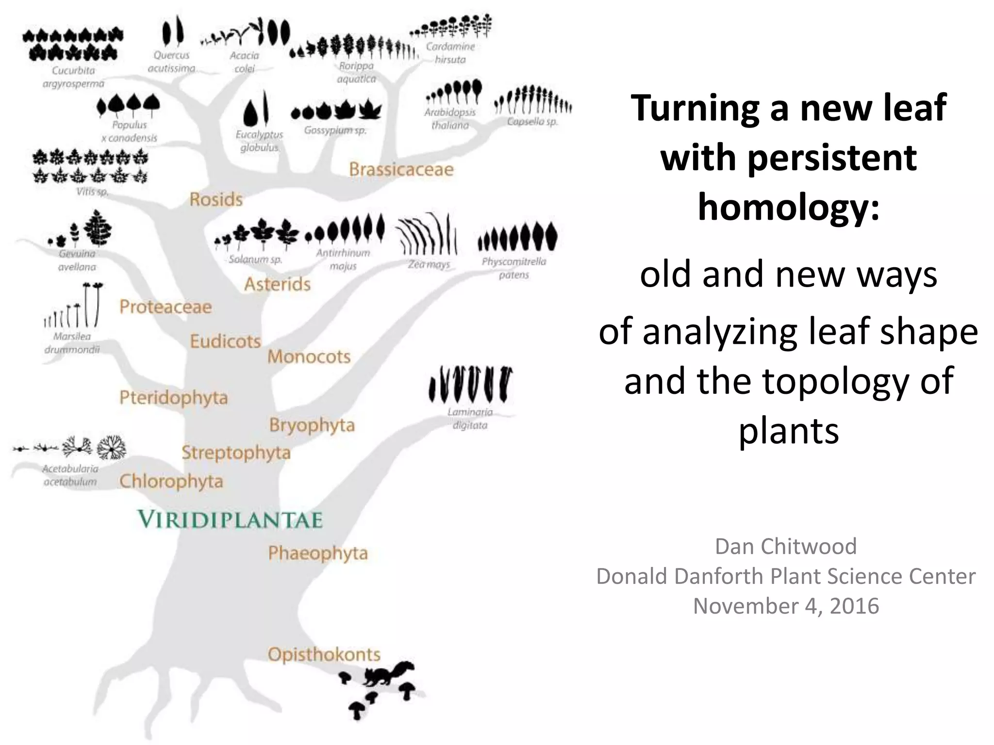 Turning a new leaf with persistent homology: old and new ways of ...