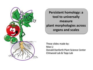 Homology Plant
