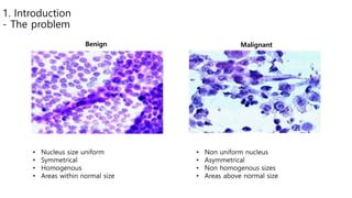 Wisconsin Breast Cancer dataset.pptx