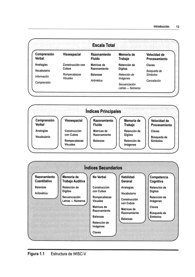 WISC V MANUAL VN 2018.pdf