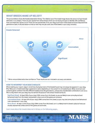 Wisdom Panel For Kelsey | PDF