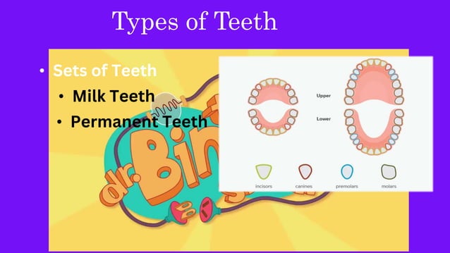 dental awareness workshop for Primary School | PPT