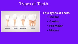 dental awareness workshop for Primary School | PPTX