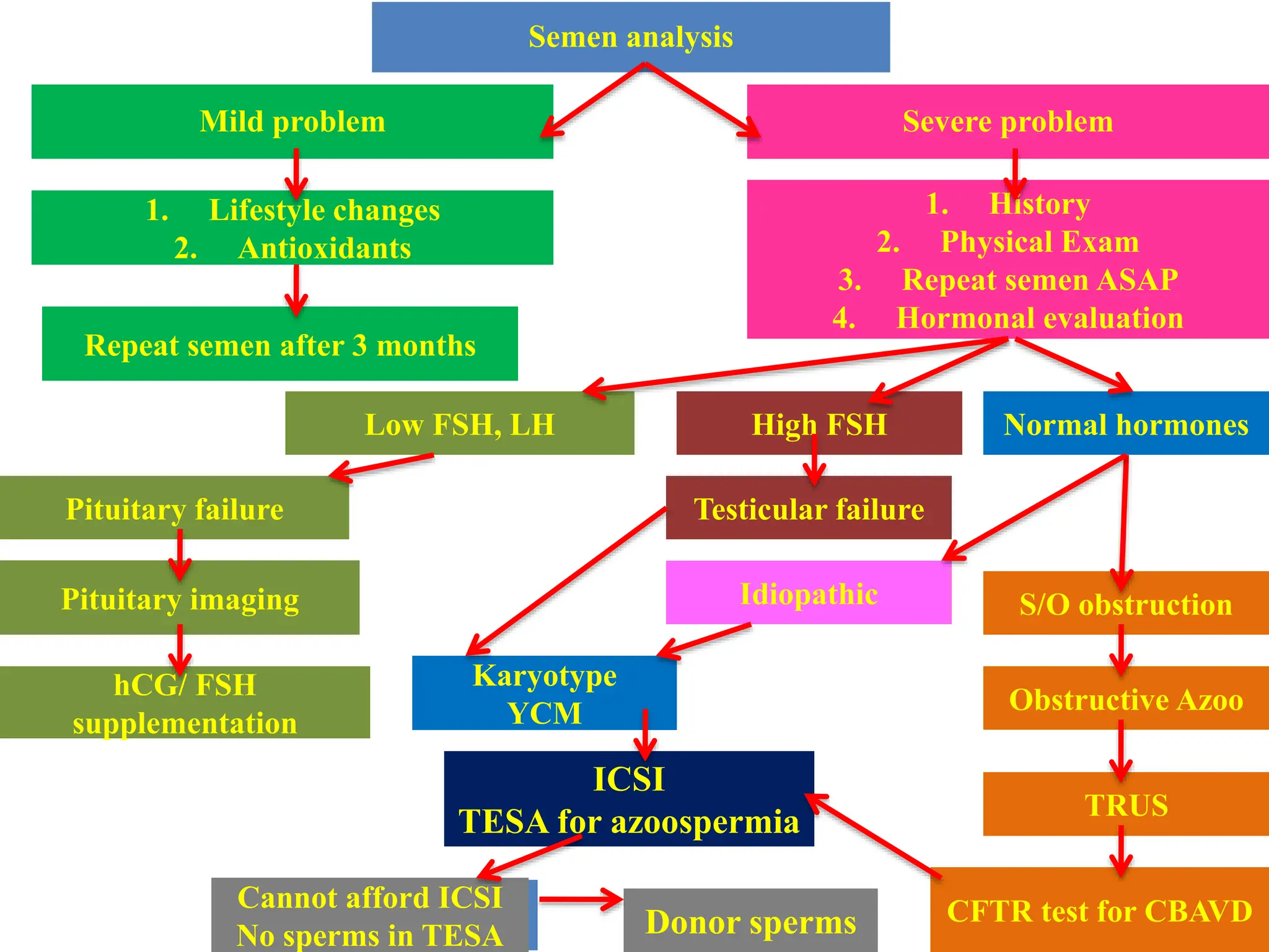 Approach to abnormal semen analysis- way forward | PPTX