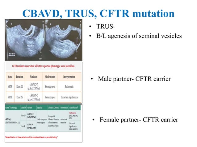 Approach to abnormal semen analysis- way forward | PPTX | Infertility ...