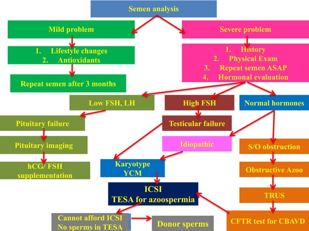 Approach to abnormal semen analysis- way forward | PPTX | Infertility ...
