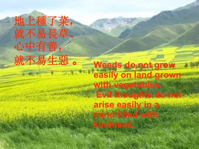 Wise sayings for happy living / 静思语使你开心生活 （In English & Chinese）#2/9 | PPT