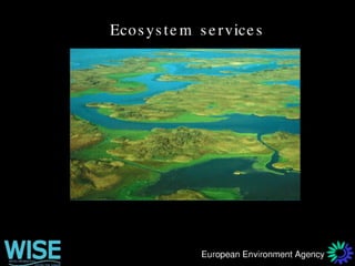 WISE Water Information System for Europe | PPT