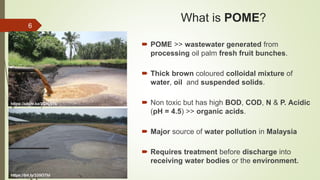 Carbon Dioxide Torrefaction of Anaerobically Digested Palm Oil Mill ...