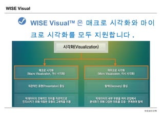 제품소개 Wise visual | PPT