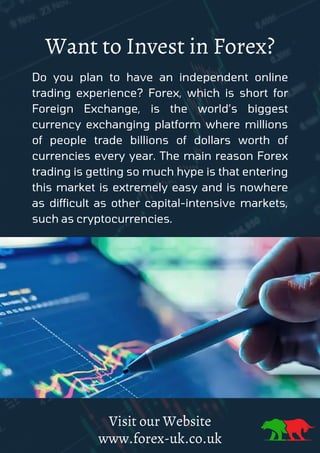 Want to Invest in Forex? | PDF | Stocks and Bonds | Personal Investing