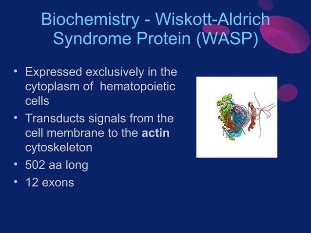 Wiskott Aldrich Syndrome Final Powerpoint | PPT