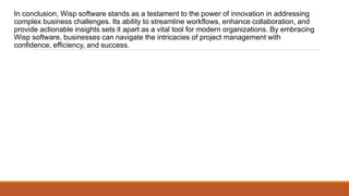 Wisp Software.pptx