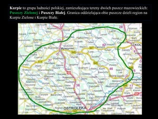 Kamila Kuriata 6b | PPTX