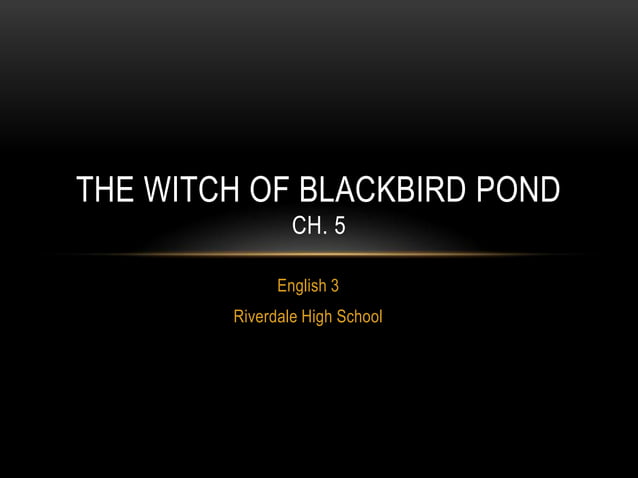Witch of Blackbird Pond Lesson | PPTX