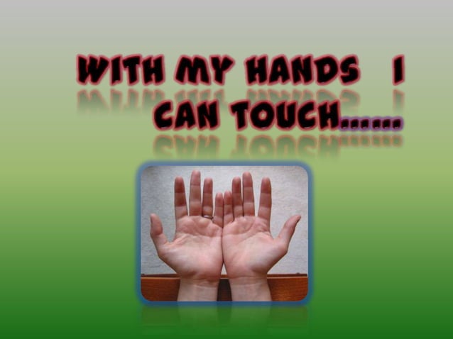 THE SENSE OF TOUCH (Science 1º Primaria) | PPTX
