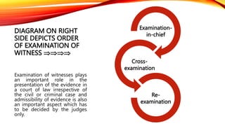WITNESSES-COMPETENCE AND EXAMINATION.pptx