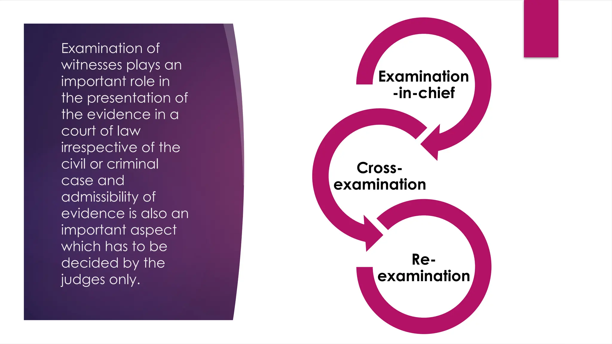 WITNESSES-COMPETENCE AND EXAMINATION.pptx
