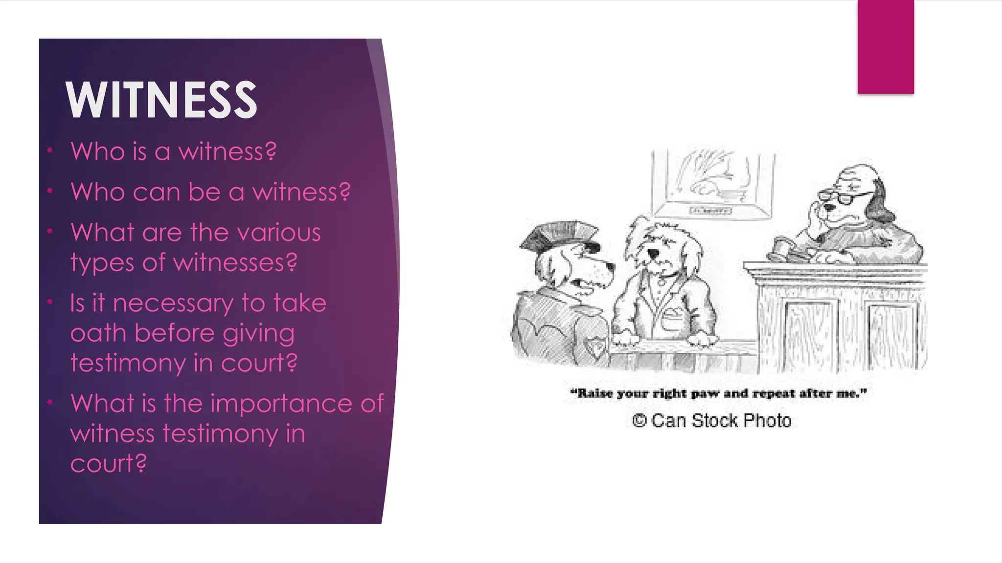 WITNESSES-COMPETENCE AND EXAMINATION.pptx