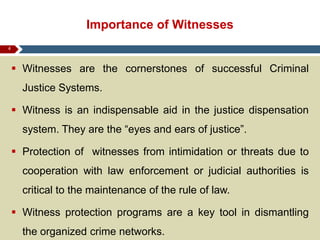 Witness protection in punjab | PPTX