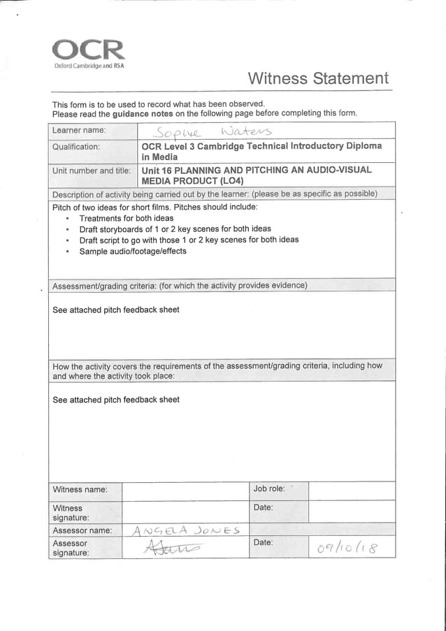 WITNESS STATEMENT | PDF