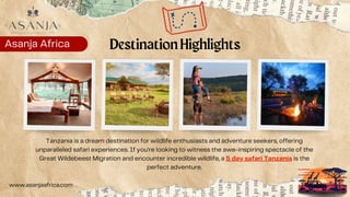 Witness the Great Migration: Epic 5-Day Safari in Tanzania | PDF