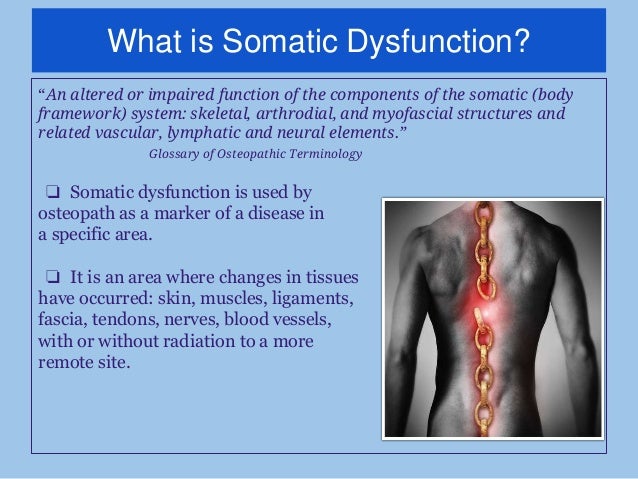 Yoga and Osteopathy Working Together