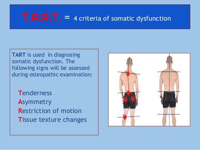 Yoga and Osteopathy Working Together