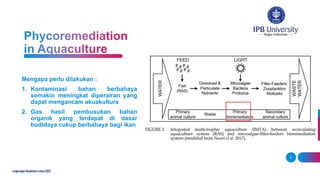 Wiwin KusumPhycoremediation bagi Lingkungan Aquaculture.pptx