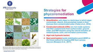 Wiwin KusumPhycoremediation bagi Lingkungan Aquaculture.pptx