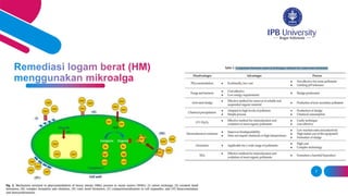 Wiwin KusumPhycoremediation bagi Lingkungan Aquaculture.pptx