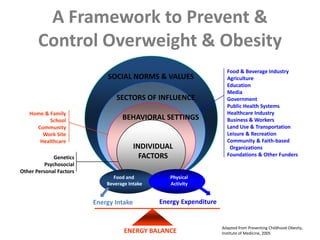 Obesity and Women presentation by Michelle Rimer, MS, MPH, RD, LDN | PPT