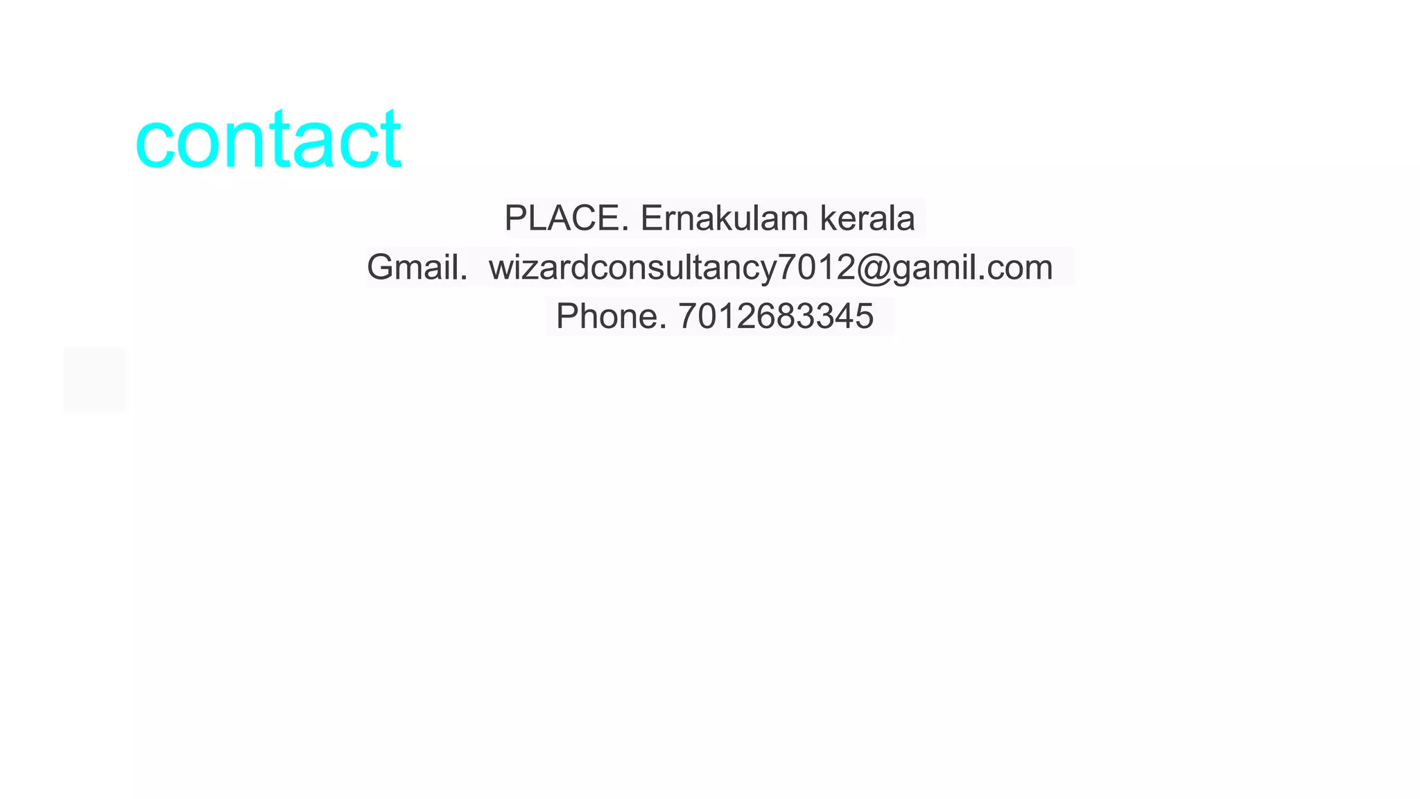 Wizard Consultancy.pptx