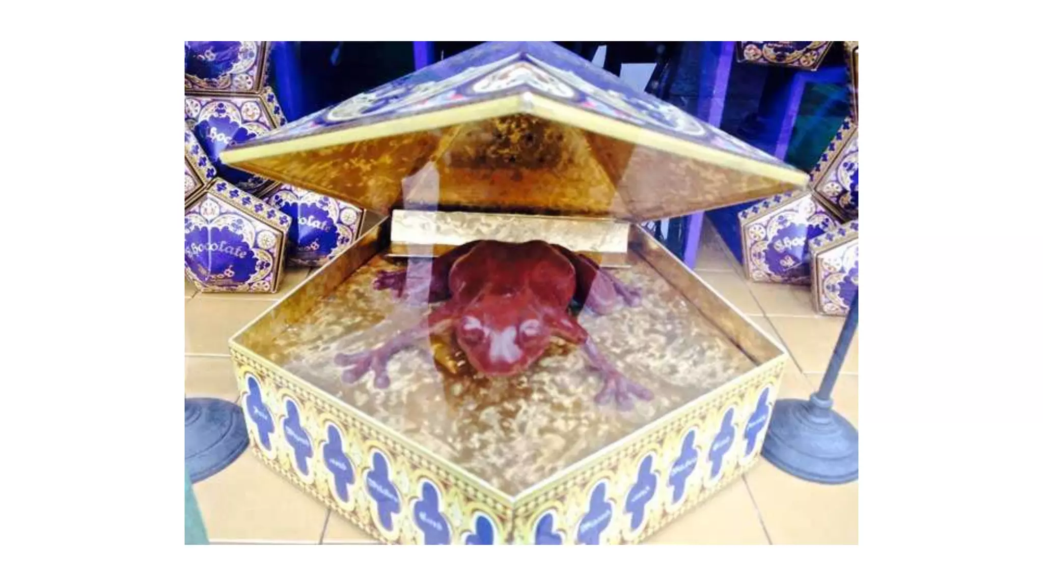 Wizard Food: sweets, butterbeer, and childhood tastes | PPTX