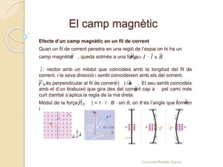 Camp magnètic | PPT