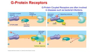 A discussion on cells signalling on the course cell biology oligy | PPTX