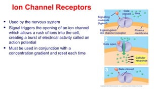 A discussion on cells signalling on the course cell biology oligy | PPT