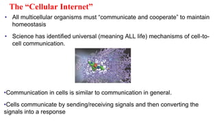 A discussion on cells signalling on the course cell biology oligy | PPT