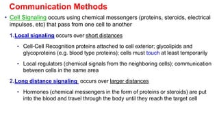 A discussion on cells signalling on the course cell biology oligy | PPT