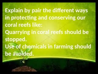 wk10 Preservation and Conservation of Coral reef.pptx