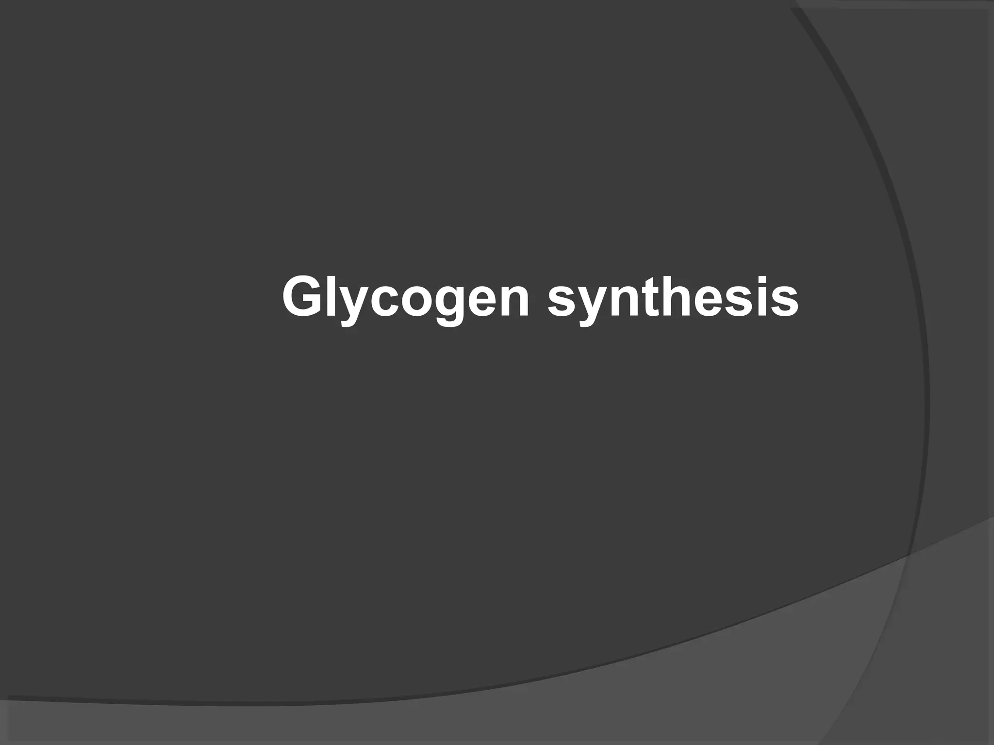Wk11 glycogen metabolism | PPT | Chemistry | Science