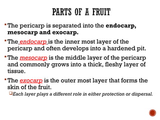 wk 13 plant reproduction asexual and sexual | PPT