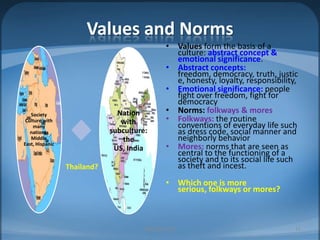 WK2 Cultural Differences and FDI | PPTX | Business | Business and Finance