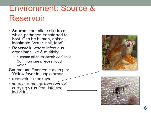 Host pathogen interactions | PPT | Infectious Diseases | Diseases and ...
