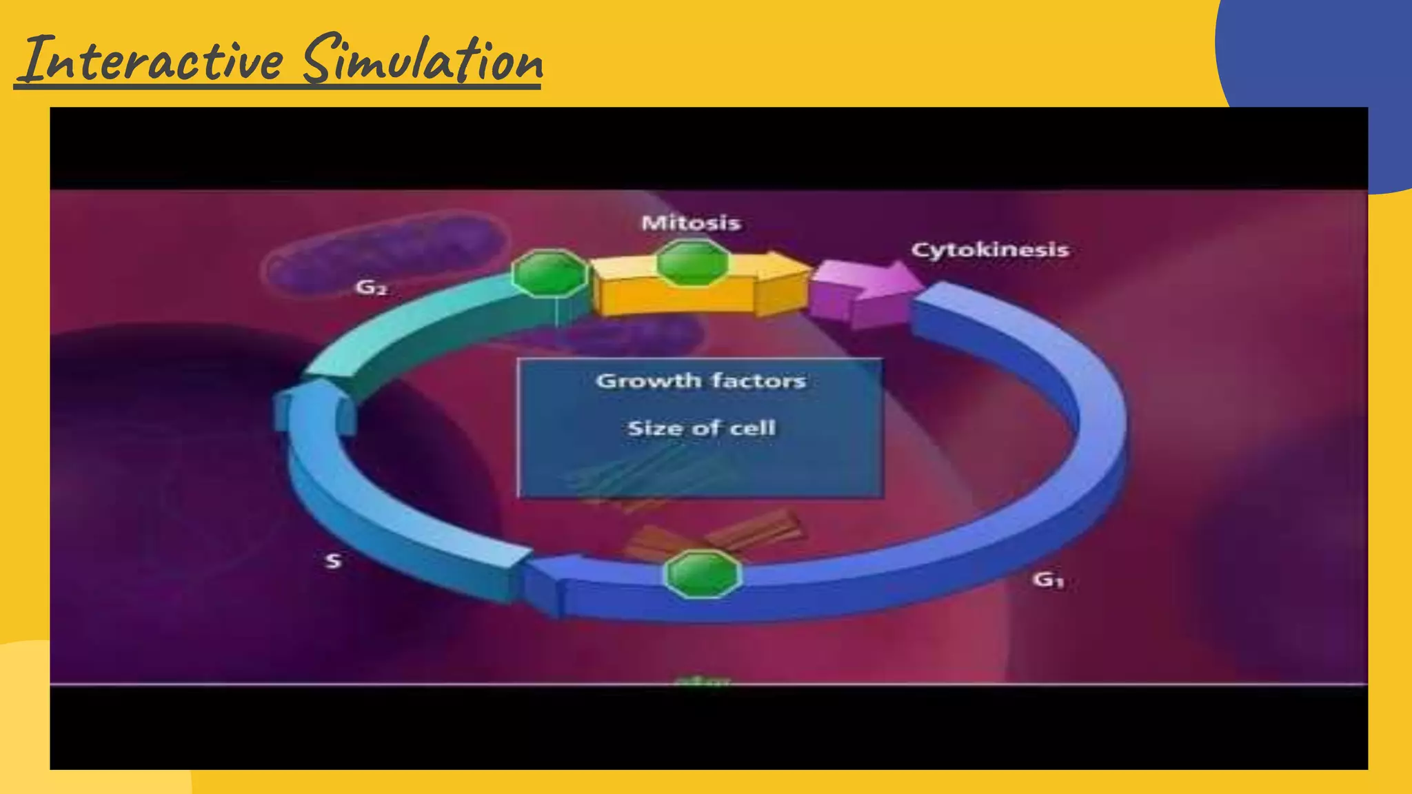 Cell Cycle.pdf