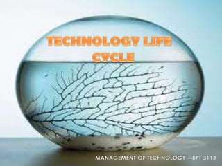 Wk 4 technology life cycle | PPTX