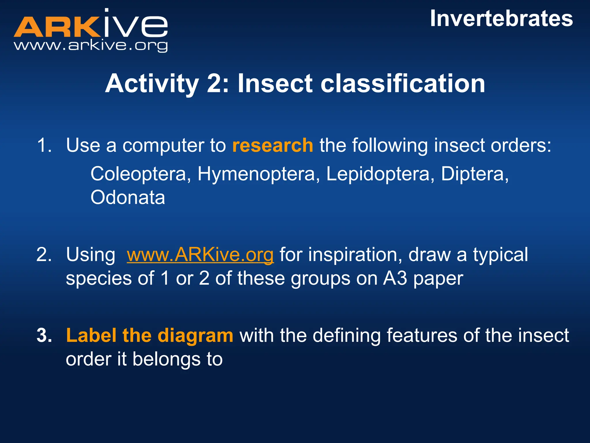 wk5-Classifying invertebrates and vertebrates.ppt