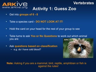 wk5-Classifying invertebrates and vertebrates.ppt